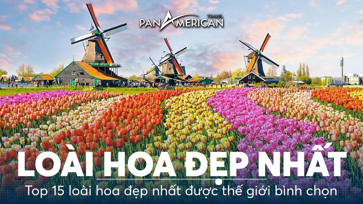 Top 15 loài hoa đẹp nhất thế giới - Pan American Travel