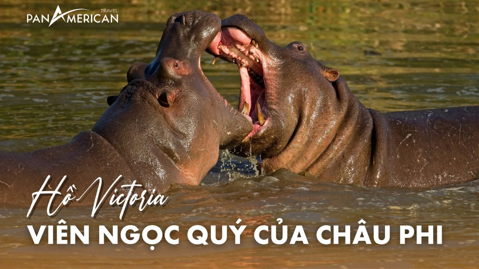 Hồ Victoria - Viên ngọc quý của châu Phi - Pan American Travel