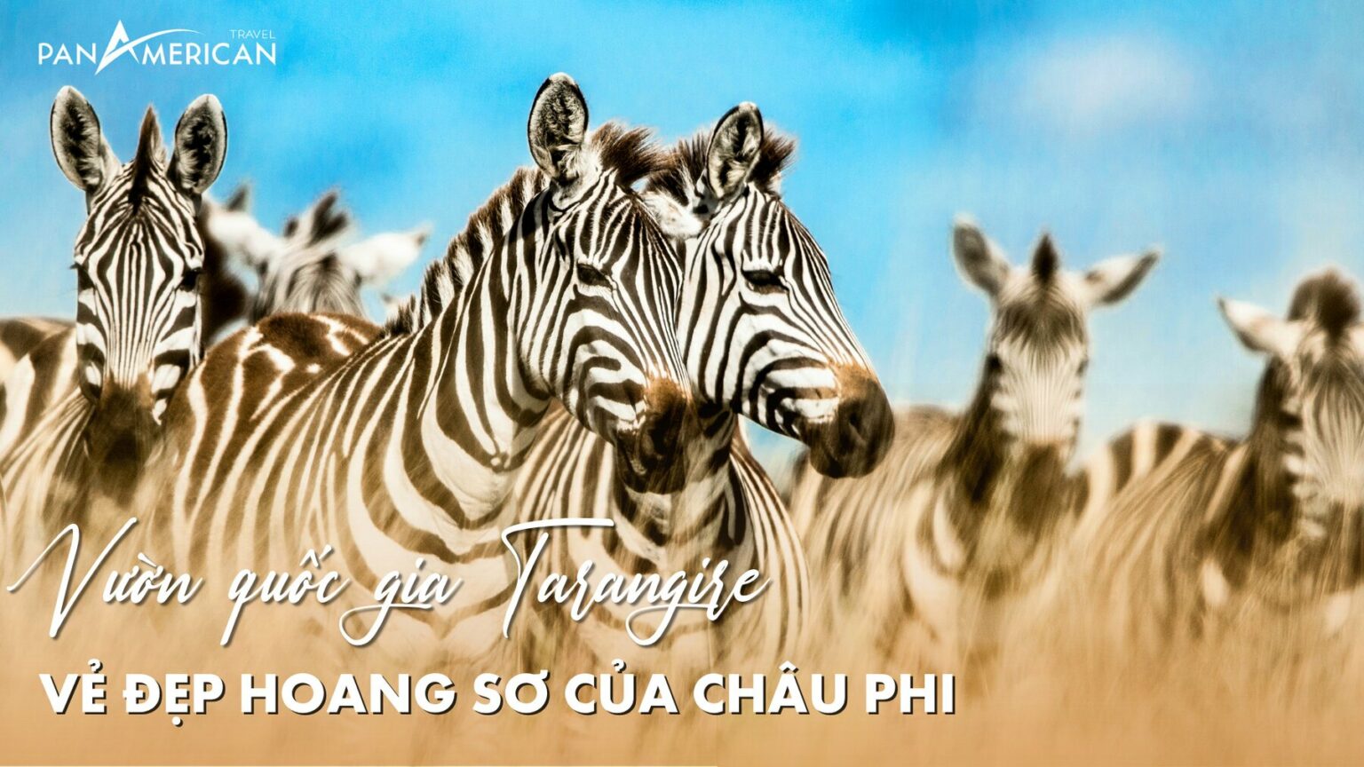 Vườn quốc gia Tarangire - Khám phá vẻ đẹp hoang sơ của châu Phi - Pan ...