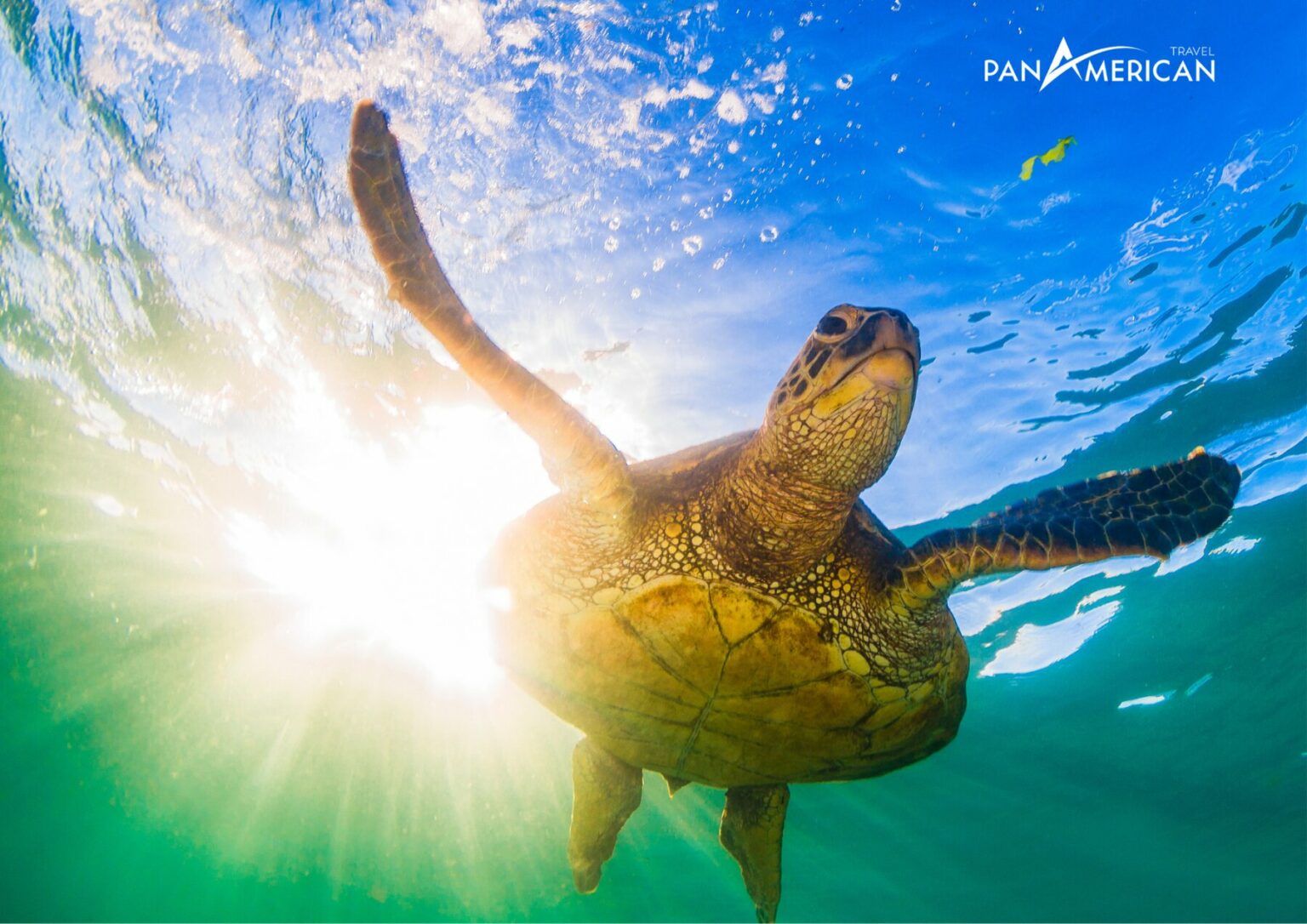 Zanzibar - Thiên đường nhiệt đới châu Phi - Pan American Travel