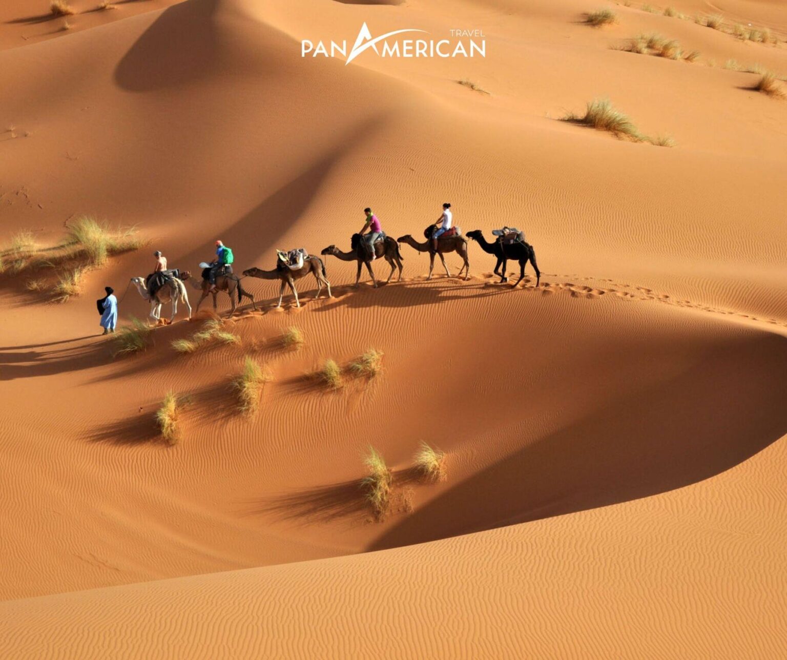Khám phá sa mạc lớn nhất thế giới - sa mạc Sahara - Pan American Travel