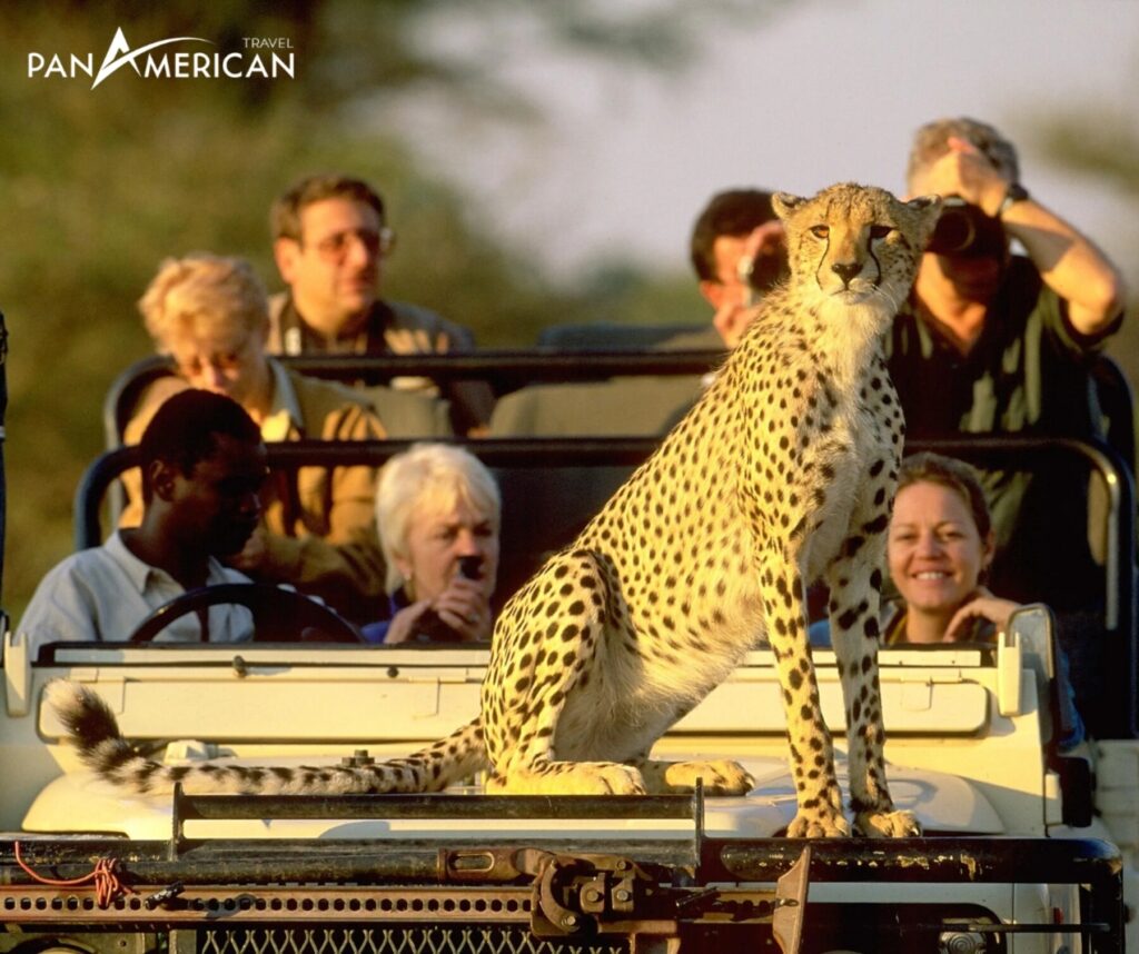 Bản đồ Châu Phi: Châu Phi ở đâu? Có bao nhiêu quốc gia Châu Phi? - Pan ...