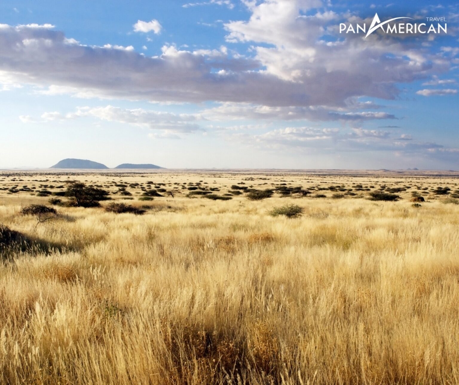 Bản đồ Châu Phi: Châu Phi ở đâu? Có bao nhiêu quốc gia Châu Phi? - Pan ...