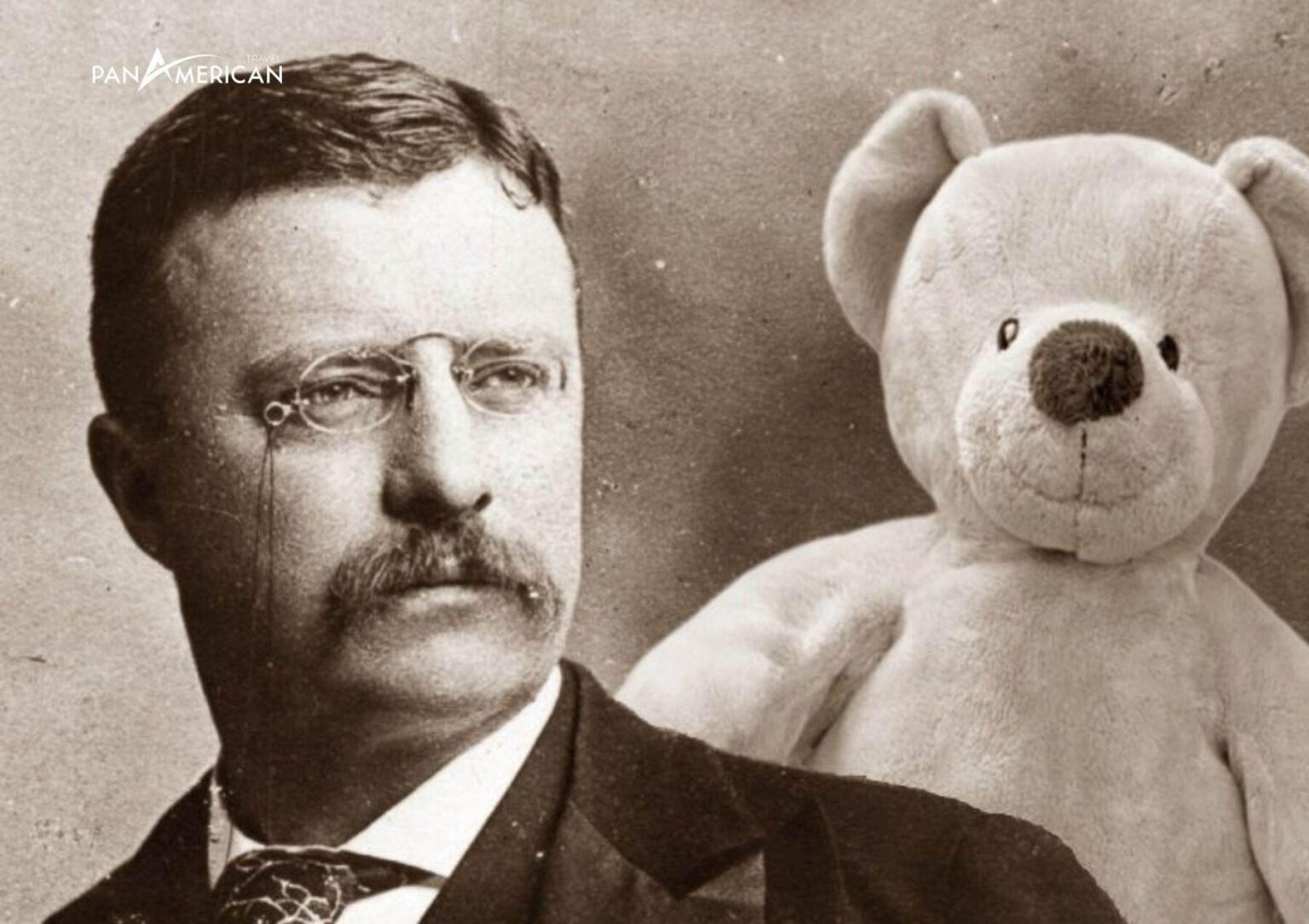 Theodore Roosevelt, Tổng thống Mỹ thứ 26 - Những cải cách mang tính ...