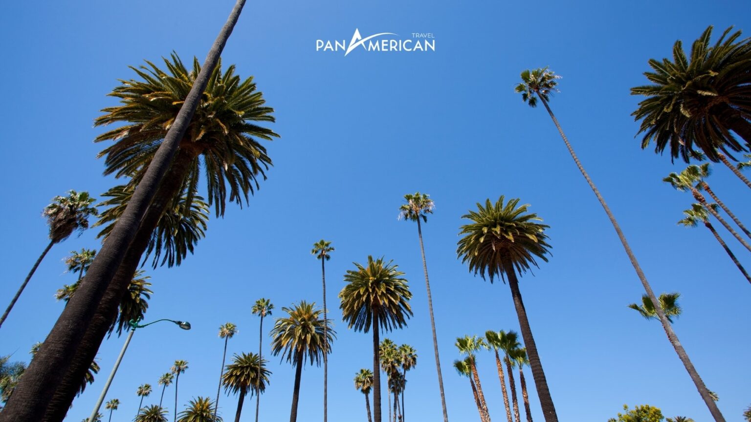 Beverly Hills: Hành trình khám phá thành phố của những giấc mơ - Pan ...