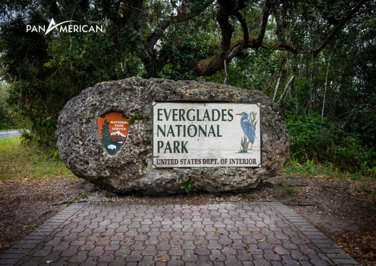 Everglades National Park: Hành trình khám phá vùng đất ngập nước hoang ...