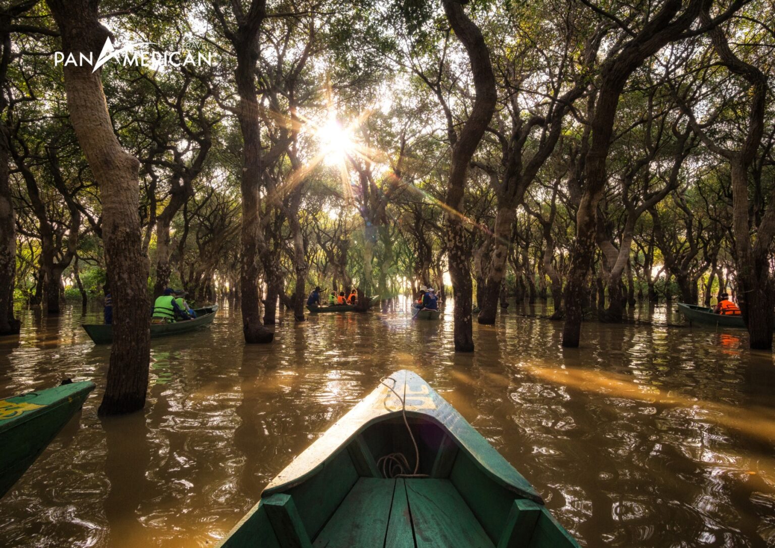 Everglades National Park: Hành trình khám phá vùng đất ngập nước hoang ...
